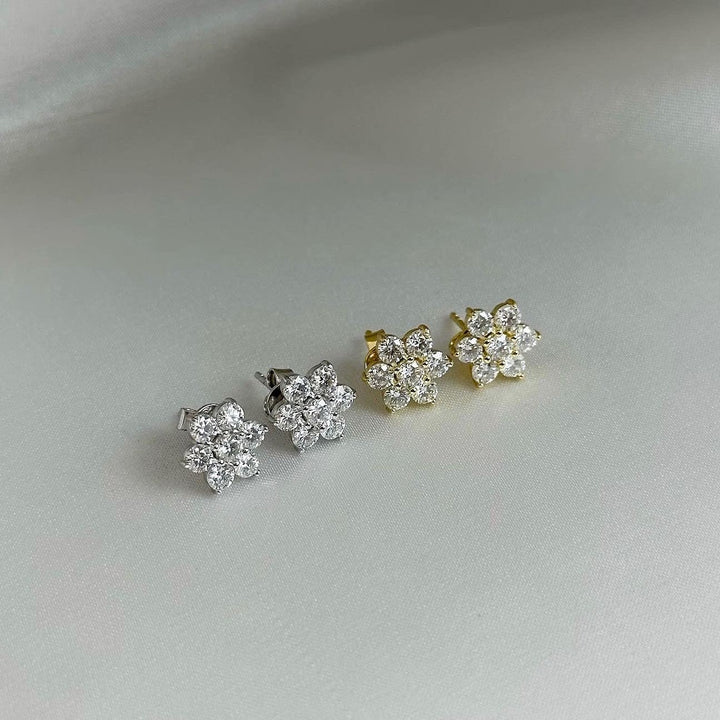 Catalog – Pristine Paradigm