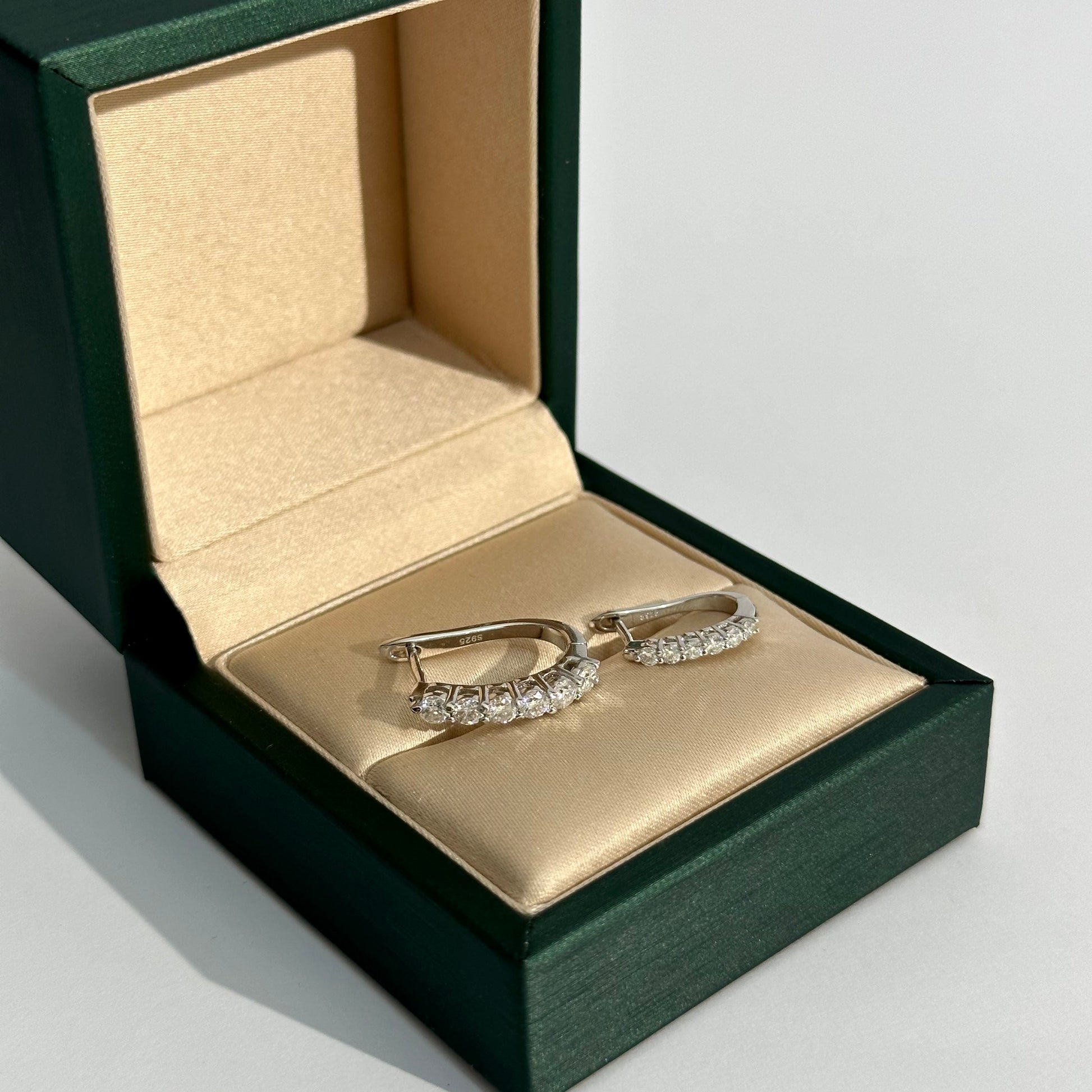 Stella Hoop Earrings – Pristine Paradigm