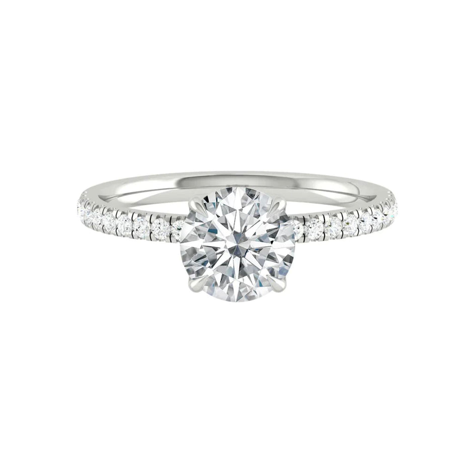 Rings – Pristine Paradigm